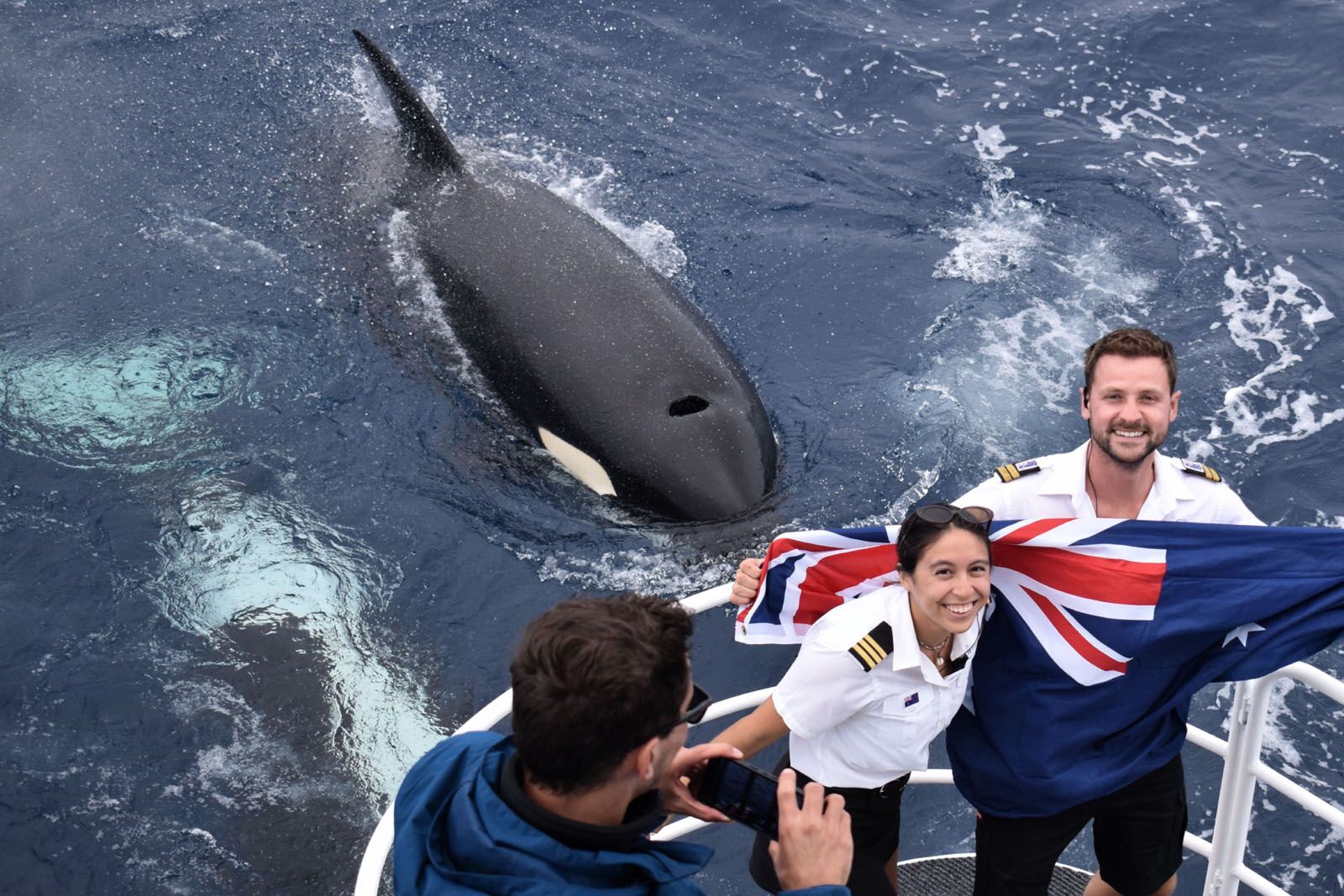 Bremer Bay Killer Whales - West Australias #1 Whale Watching Experience